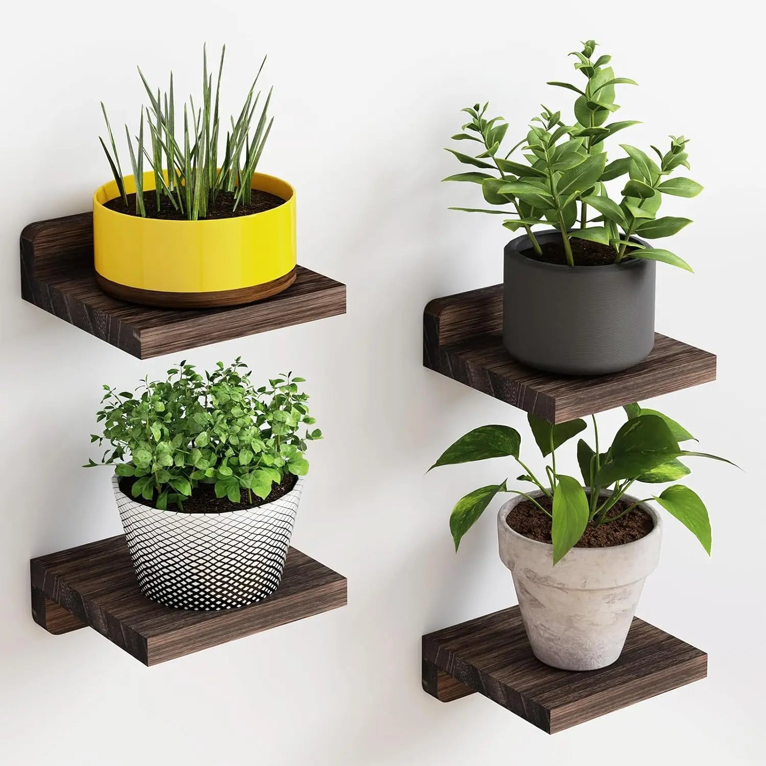 4-Pack Small Floating Wood Shelves – Avichic.co
