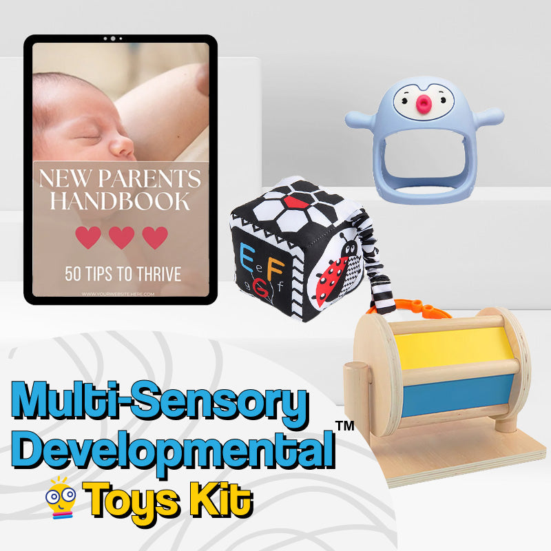 Multi-Sensory Developmental Toys Kit – Avichic.co