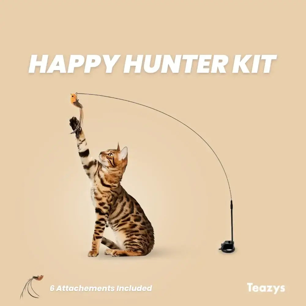 HAPPY HUNTER KIT – Avichic.co