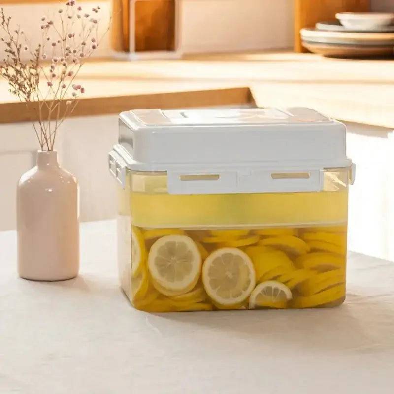 Leakproof Pickle and Kimchi Fermentation Container – Avichic.co